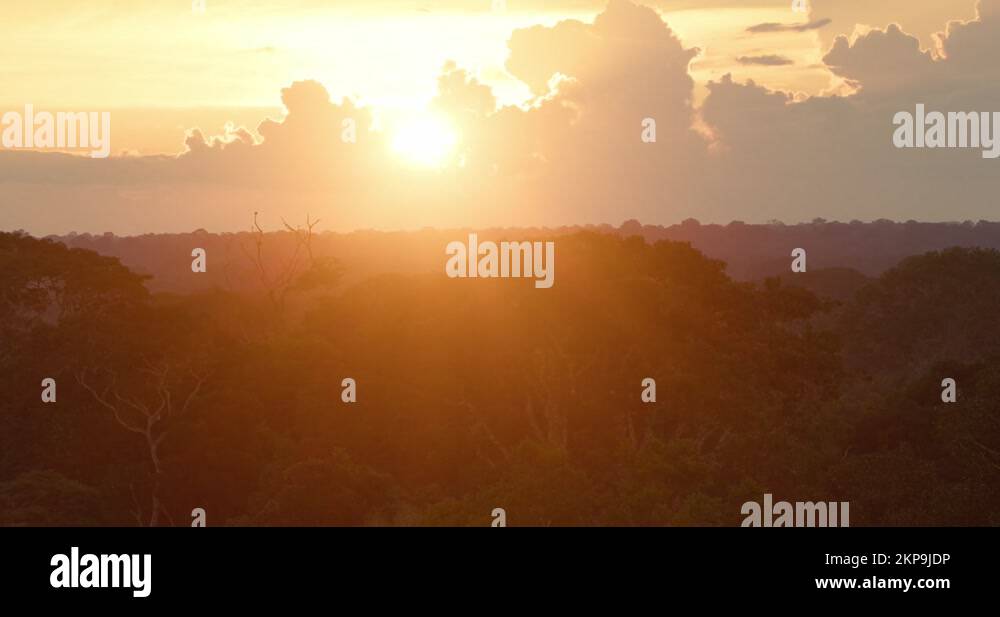 Rainforest sky Stock Videos & Footage - HD and 4K Video Clips - Alamy