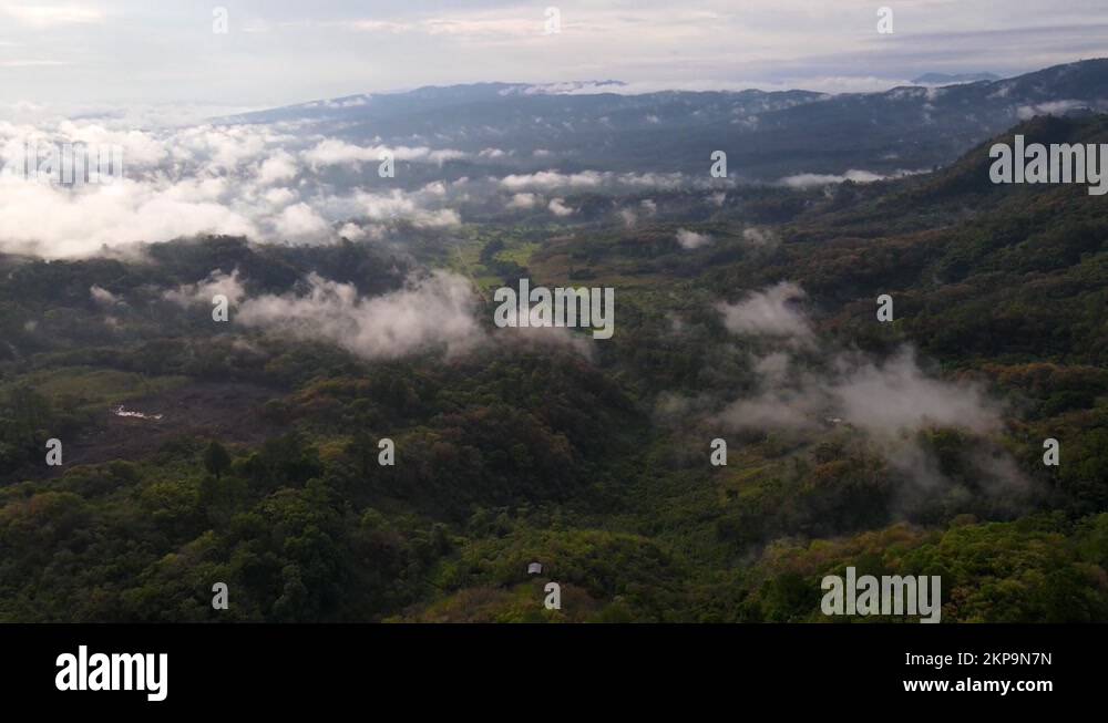 Lacandon jungle Stock Videos & Footage - HD and 4K Video Clips - Alamy