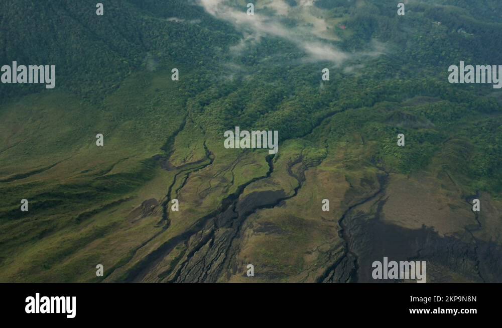 Mountain slope with dense green jungle on foothill, water erosion lines ...