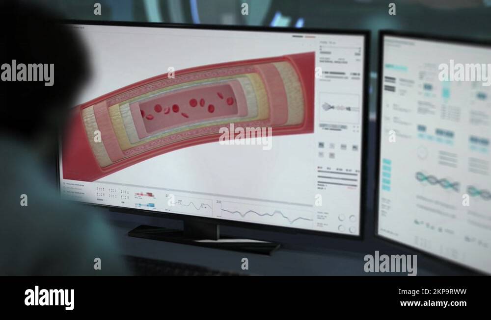Circulatory process of blood Stock Videos & Footage - HD and 4K Video ...