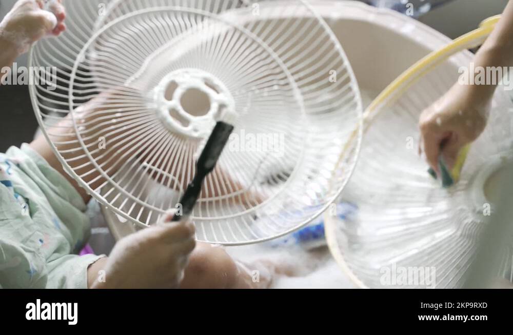 Fan sponge Stock Videos & Footage - HD and 4K Video Clips - Alamy