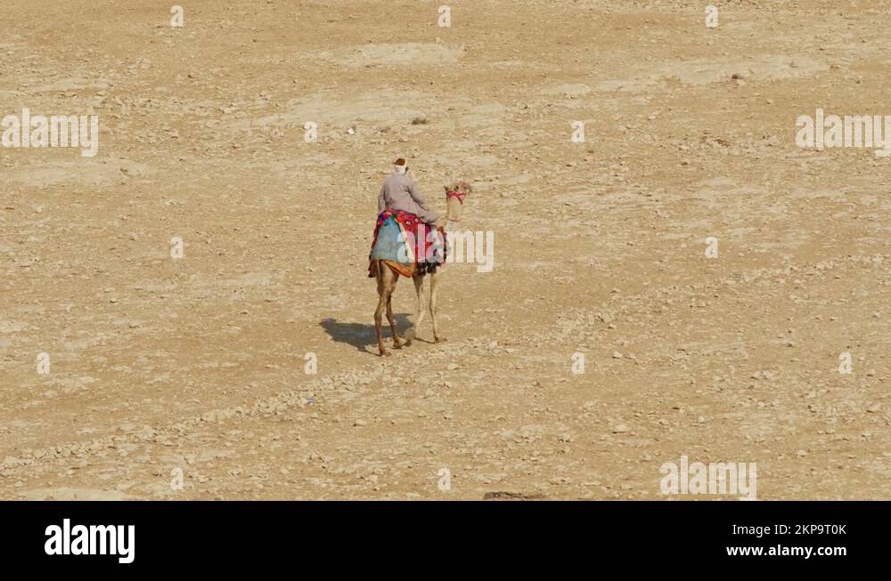 Arab riding a camel in the desert Stock Videos & Footage - HD and 4K ...