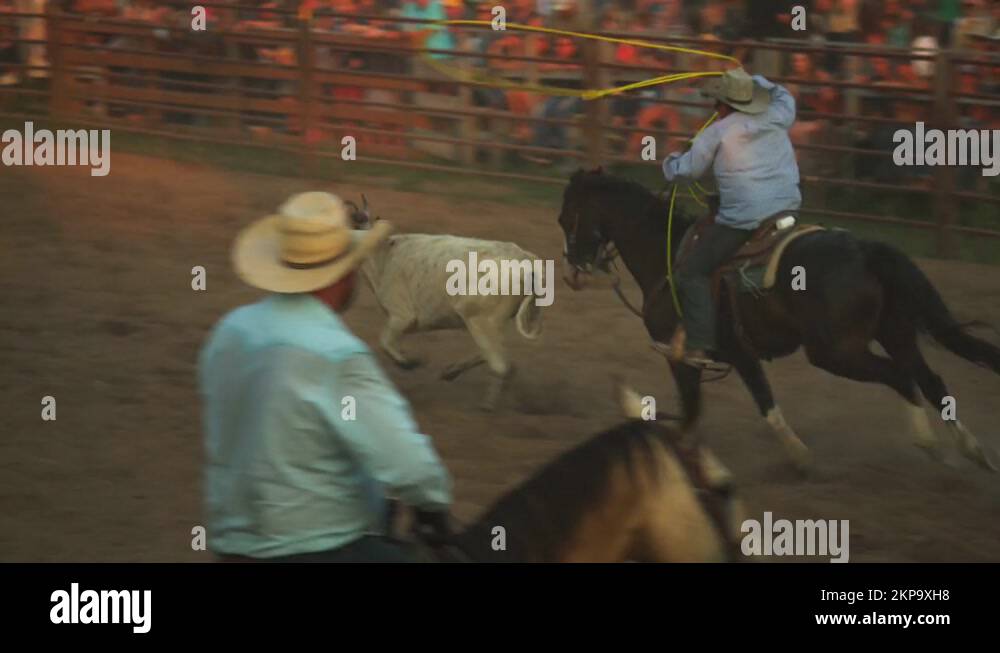 Rain country fair Stock Videos & Footage - HD and 4K Video Clips - Alamy