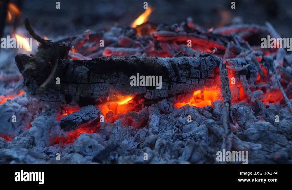Camp fire ash Stock Videos & Footage - HD and 4K Video Clips - Alamy