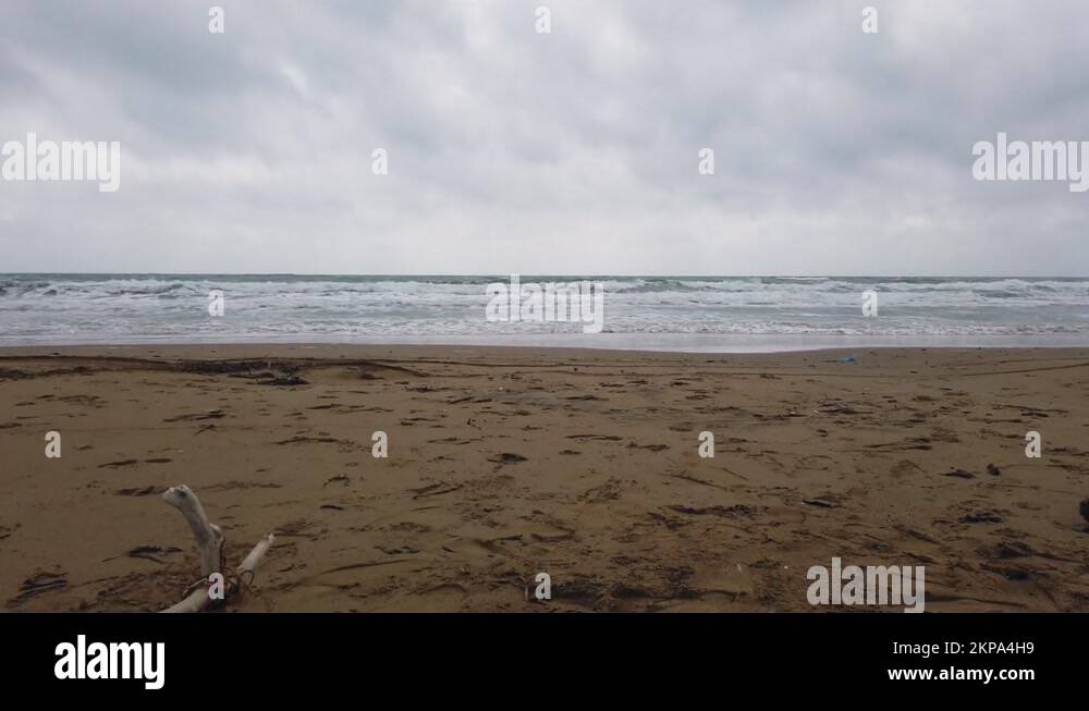 Dramatic slowly sinking down footage of a Dead turtle on beach ...