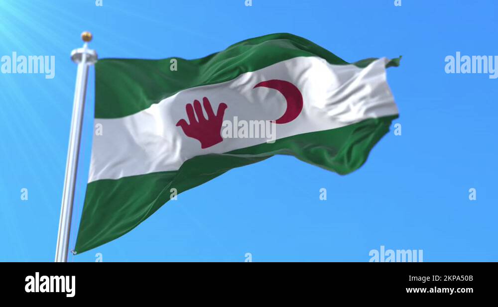 The national liberation front algeria Stock Videos & Footage - HD and ...