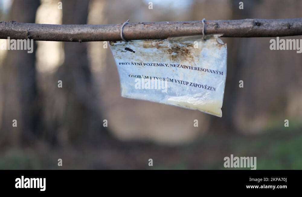 Czech sign language Stock Videos & Footage - HD and 4K Video Clips - Alamy