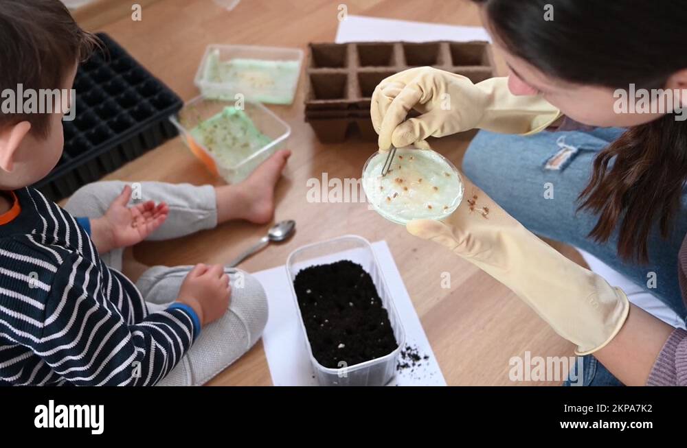 Mother son grow up Stock Videos & Footage - HD and 4K Video Clips - Alamy