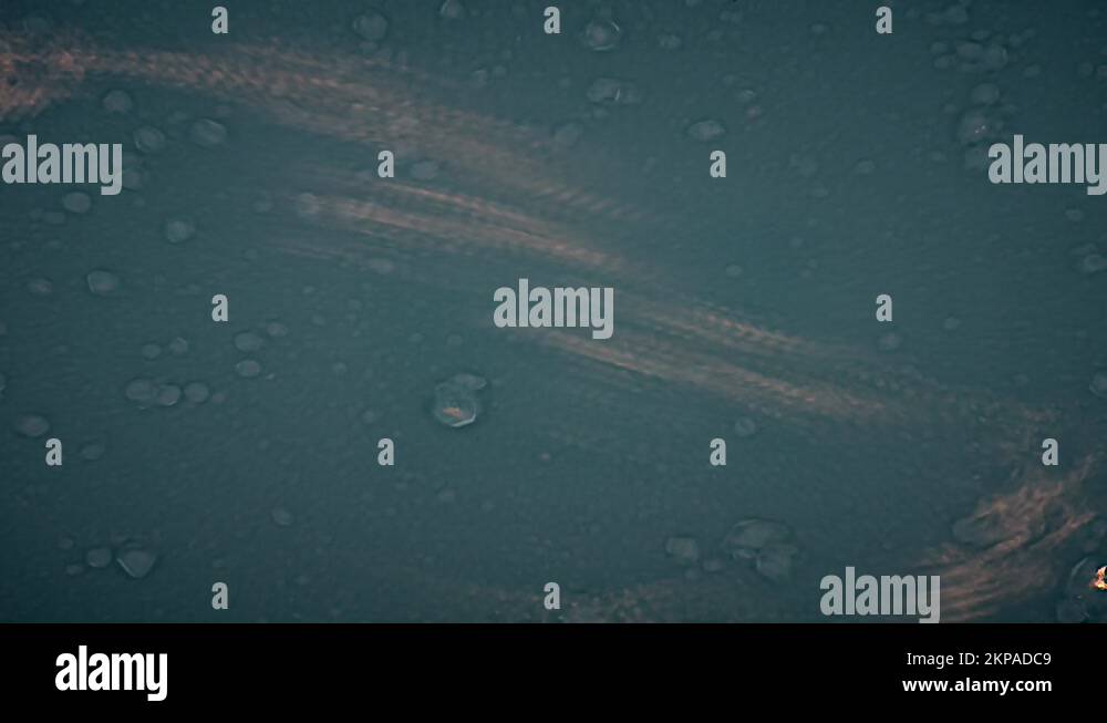 Pcr equipment Stock Videos & Footage - HD and 4K Video Clips - Alamy