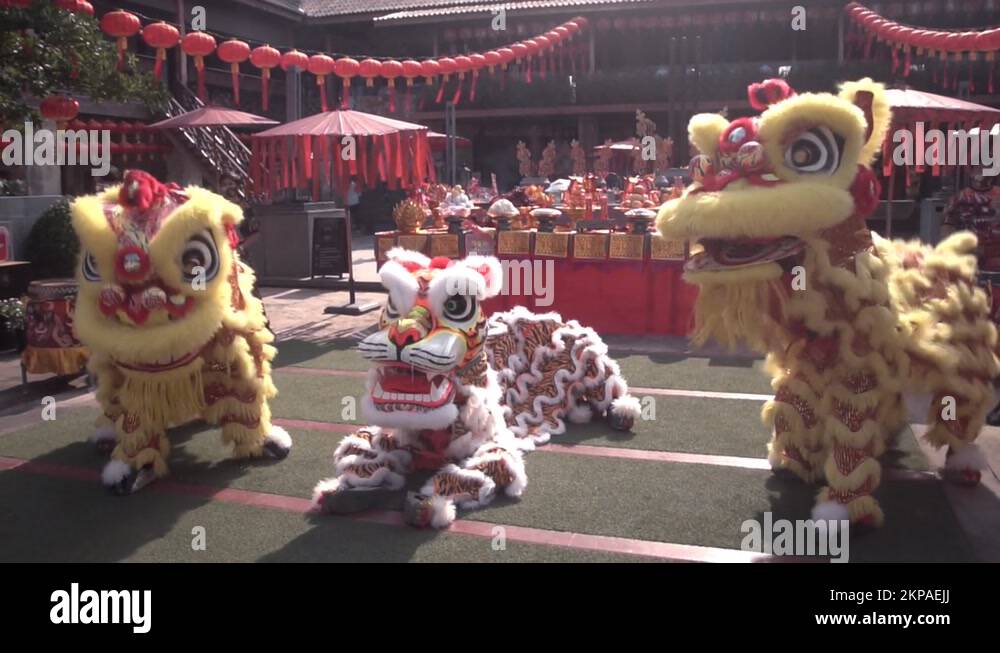 Chinese lion dance costumes Stock Videos & Footage - HD and 4K Video ...