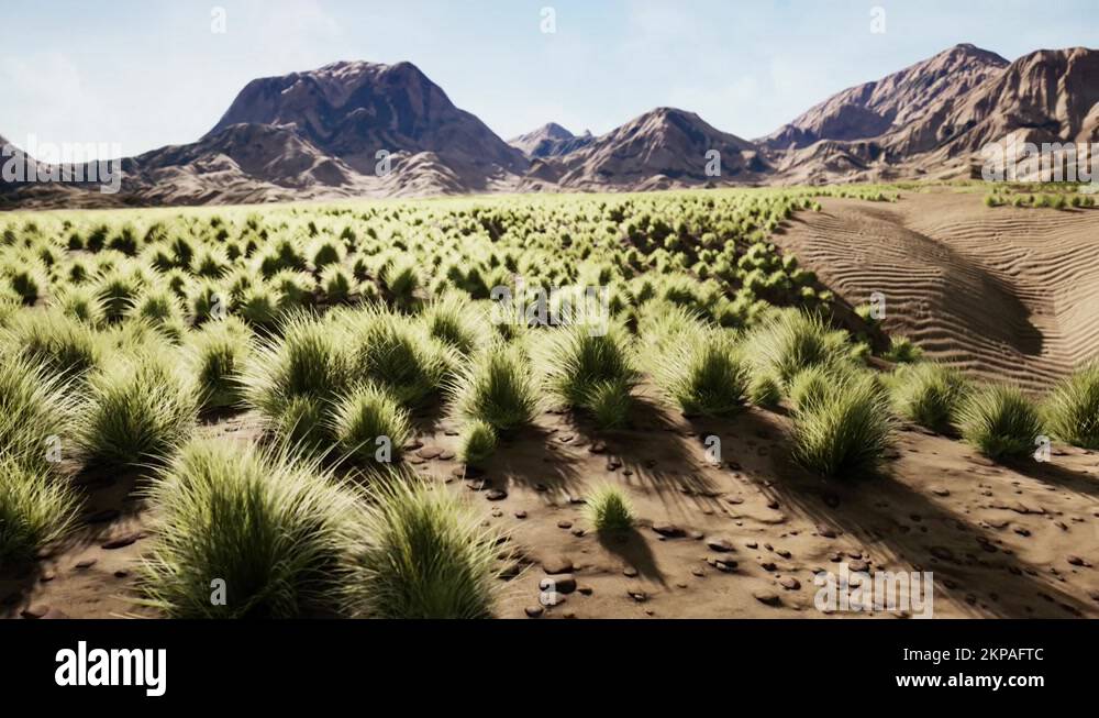 Australia outback desert rocks Stock Videos & Footage - HD and 4K Video ...