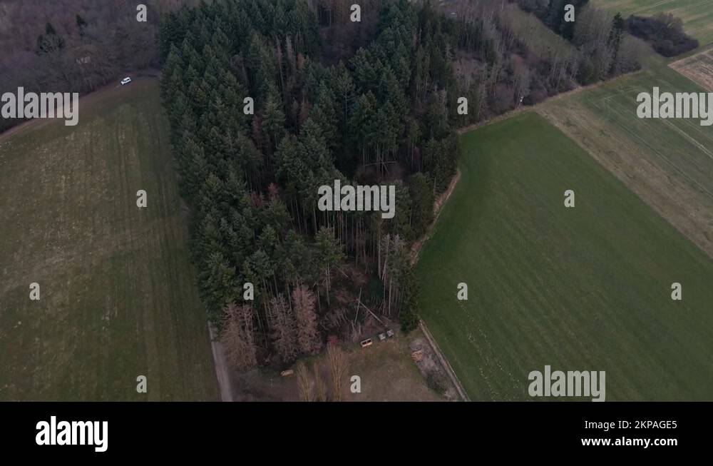 European farm land between green fields and mixed forests. Aerial ...