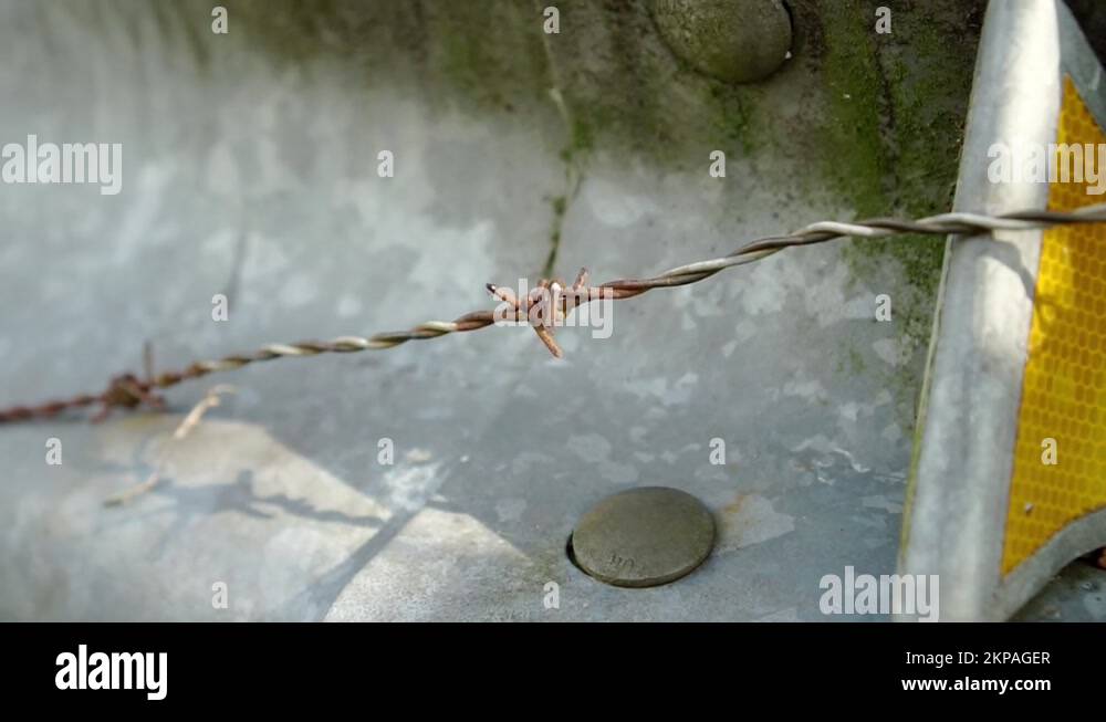 Barbed wire barbwire barb wire Stock Videos & Footage - HD and 4K Video ...