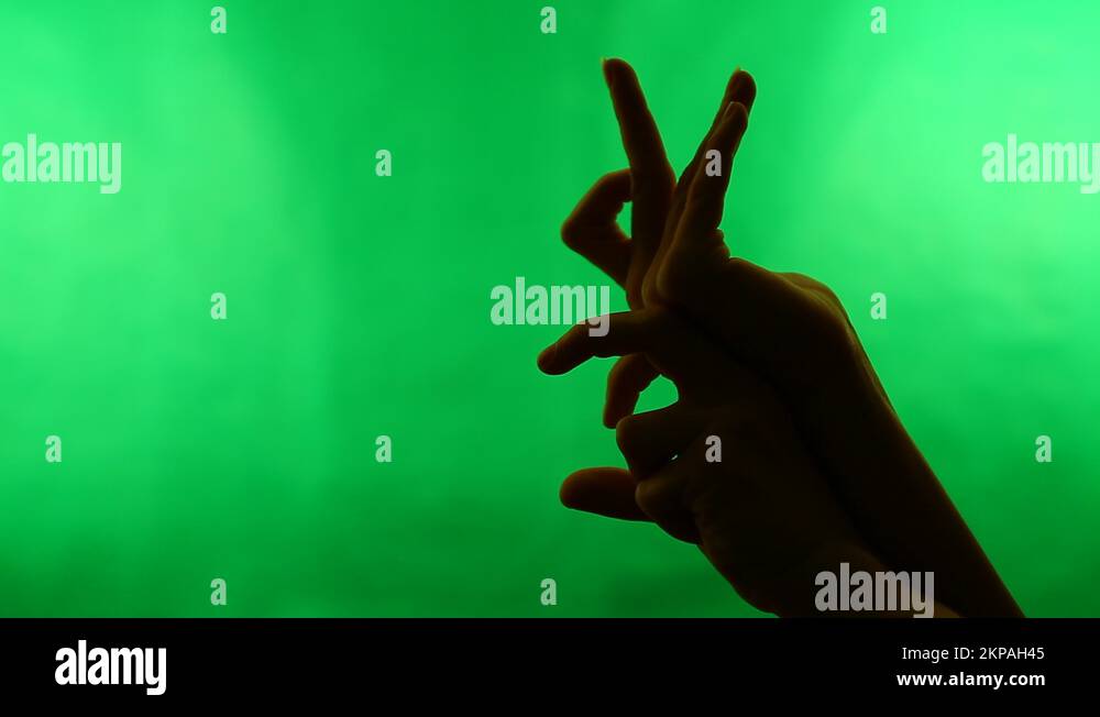 Silhouette rabbit Stock Videos & Footage - HD and 4K Video Clips - Alamy