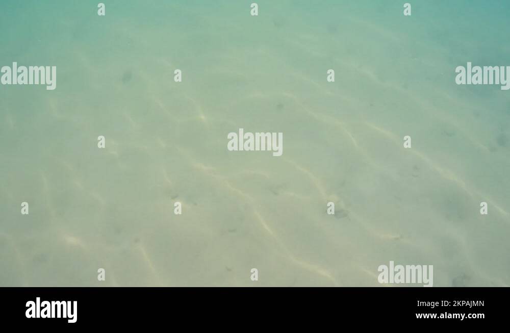 Underwater sand ripple Stock Videos & Footage - HD and 4K Video Clips ...