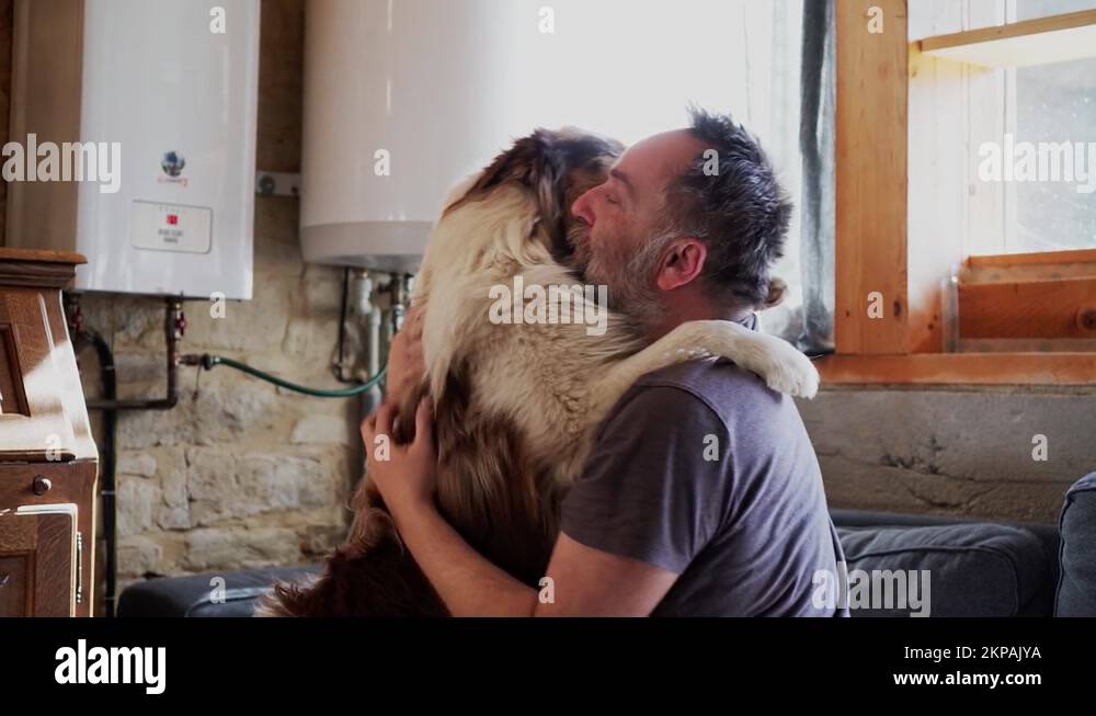 Dog hugs Stock Videos & Footage - HD and 4K Video Clips - Alamy