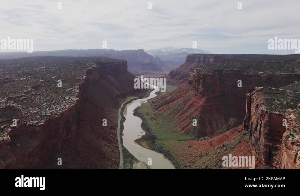 Colorado flora Stock Videos & Footage - HD and 4K Video Clips - Alamy