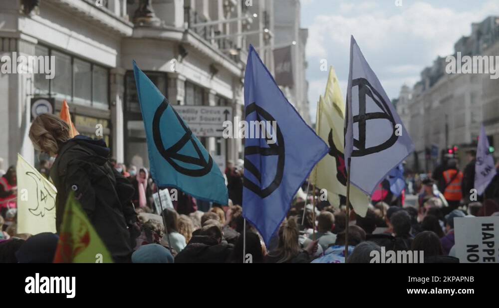 Extinction rebellion flags Stock Videos & Footage - HD and 4K Video ...