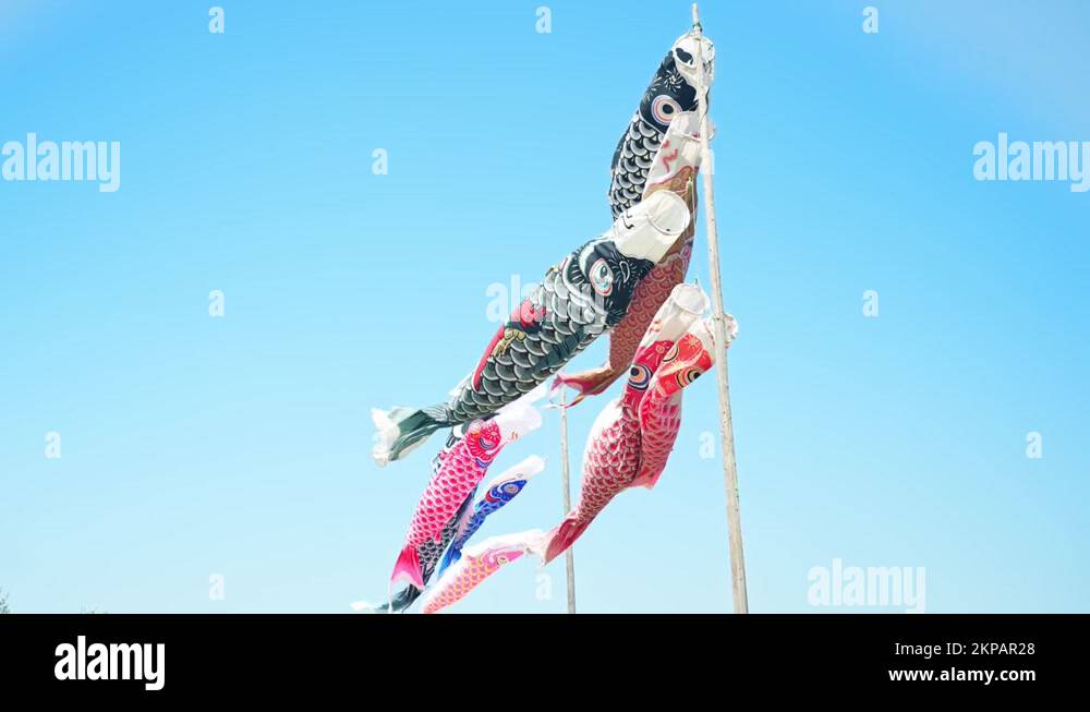 Japanese streamer Stock Videos & Footage - HD and 4K Video Clips - Alamy