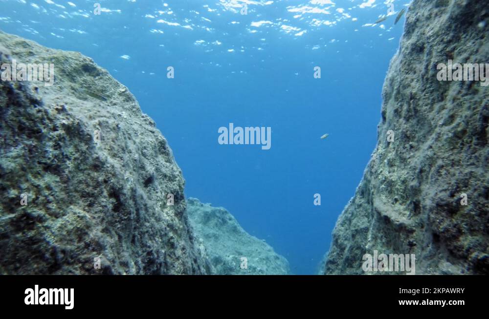 Water underwater deep sea marine Stock Videos & Footage - HD and 4K ...