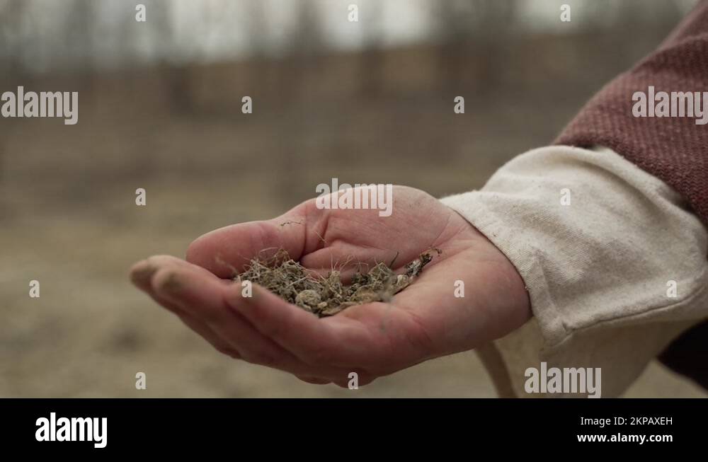 - Jesus Christ, rocks, hand, dirt, hand, hold, bible, prophet Stock ...