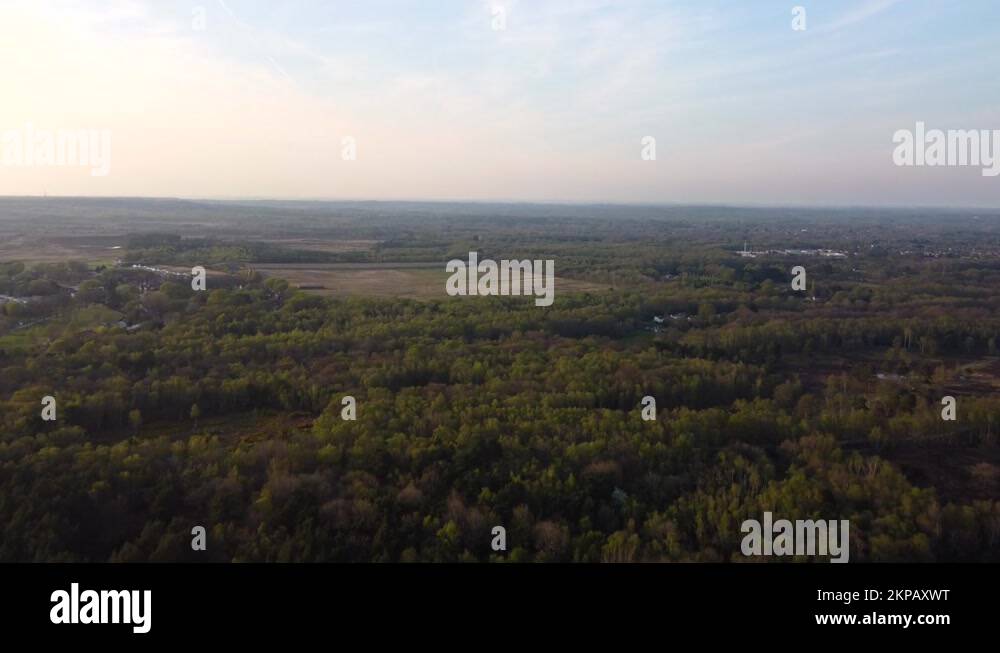 Surrey trees Stock Videos & Footage - HD and 4K Video Clips - Alamy