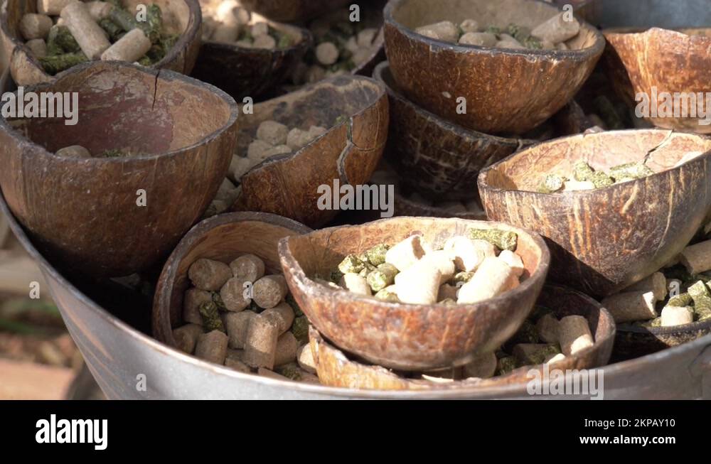Food in coconut Stock Videos & Footage - HD and 4K Video Clips - Alamy