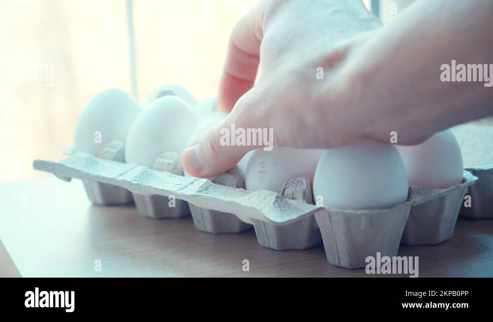 Cardboard egg box eggshell Stock Videos & Footage - HD and 4K Video ...