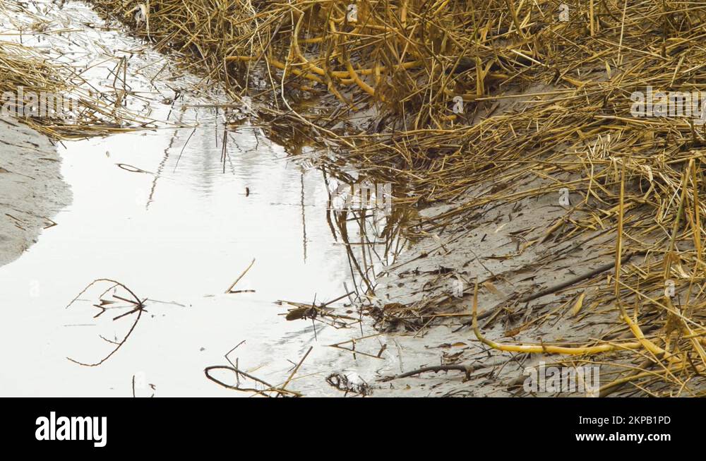 Dark ditch Stock Videos & Footage - HD and 4K Video Clips - Alamy