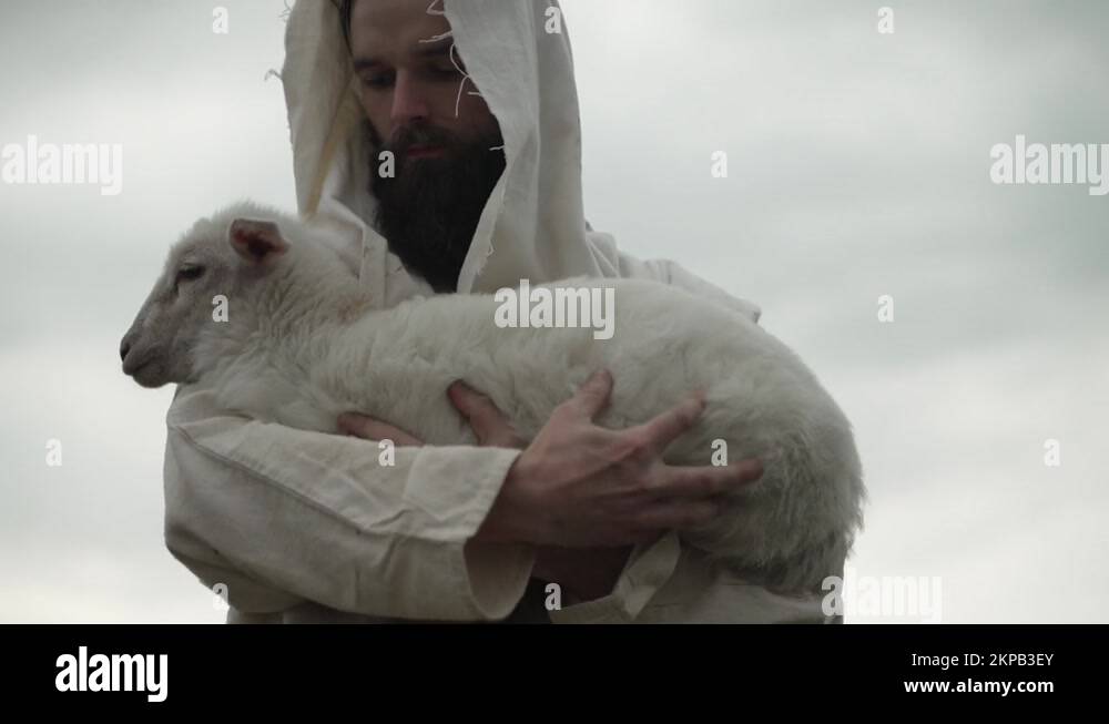 - Jesus Christ, bible, prophet, christianity, christian, lamb, sheep ...