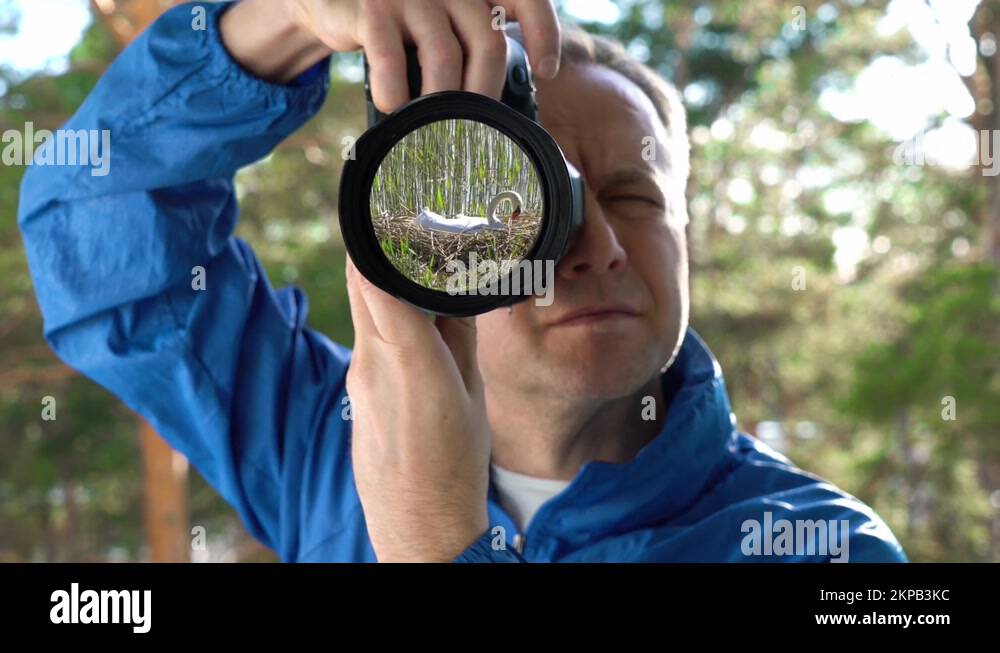 Man photographing birds Stock Videos & Footage - HD and 4K Video Clips ...