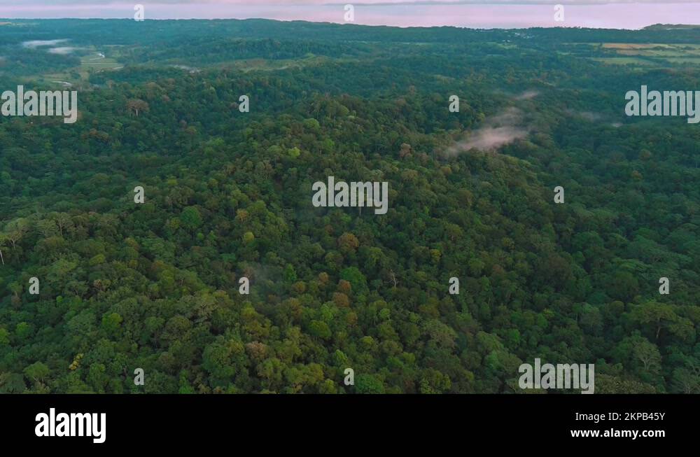 Sustainable ecosystem Stock Videos & Footage - HD and 4K Video Clips ...