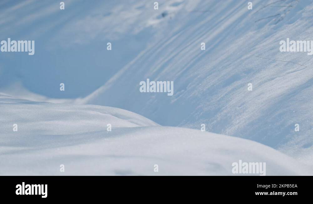 Snow on fall trees Stock Videos & Footage - HD and 4K Video Clips - Alamy