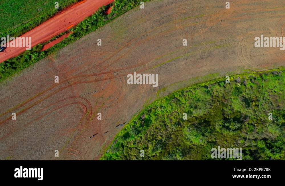 Soybean plant cultivation Stock Videos & Footage - HD and 4K Video ...