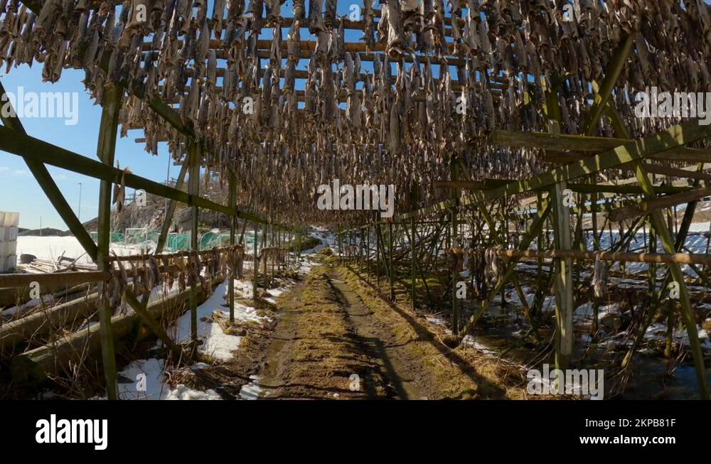 Traditional drying racks Stock Videos & Footage - HD and 4K Video Clips ...