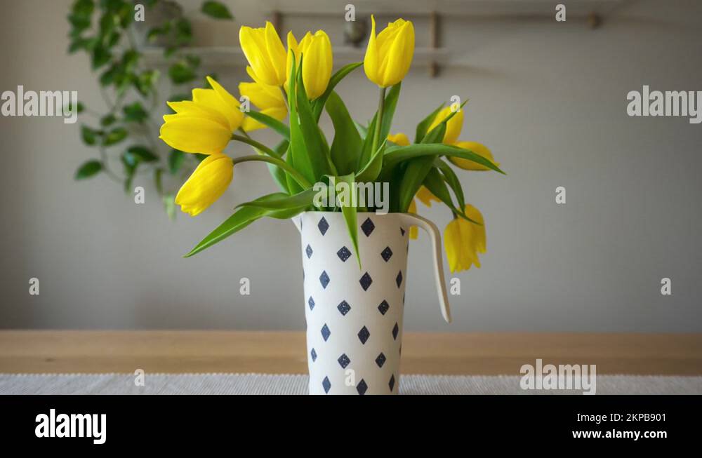 Reviving life Stock Videos & Footage - HD and 4K Video Clips - Alamy