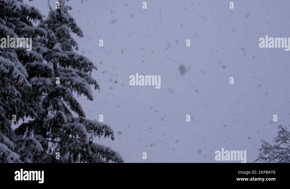 Fat snowflakes Stock Videos & Footage - HD and 4K Video Clips - Alamy