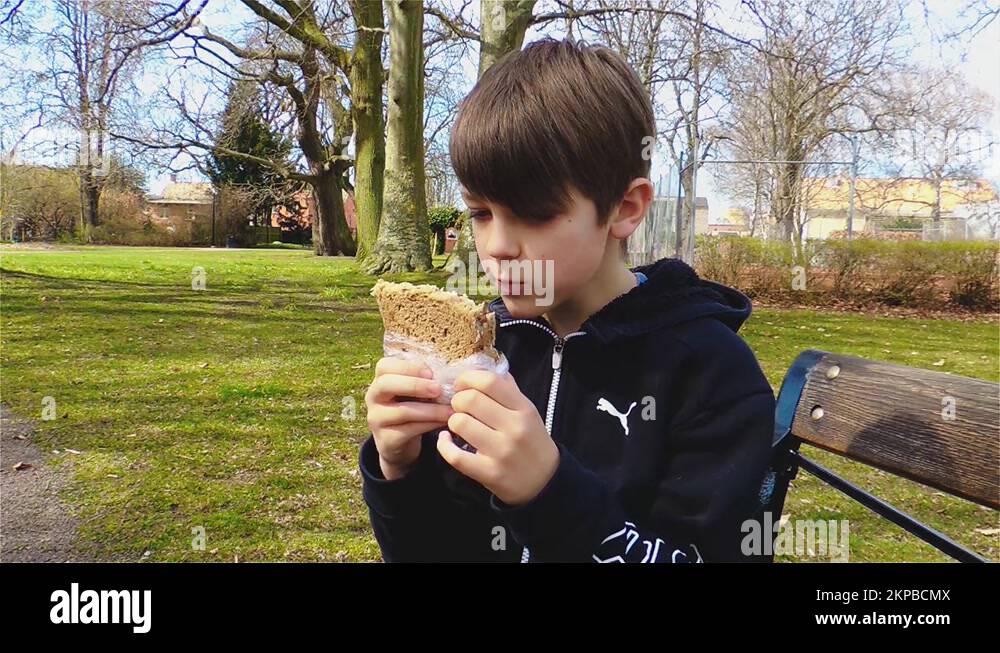 Hungry Boy Eating a Sandwich on a Park Bench and Enjoying the Outdoors ...