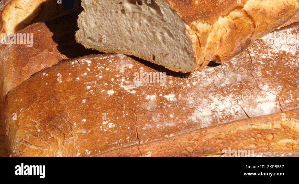 French bred Stock Videos & Footage - HD and 4K Video Clips - Alamy