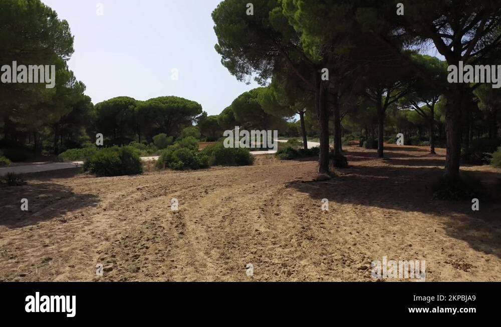 Driving fast off road Stock Videos & Footage - HD and 4K Video Clips ...