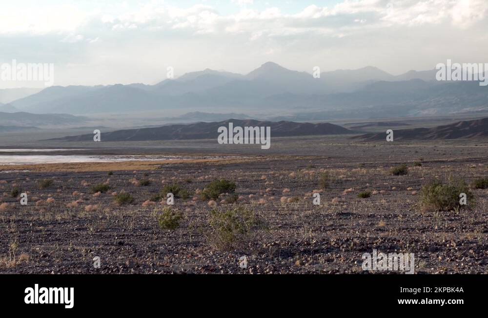 Gravely ground with shrubs in Mojave Desert, California, Aerial flyover ...