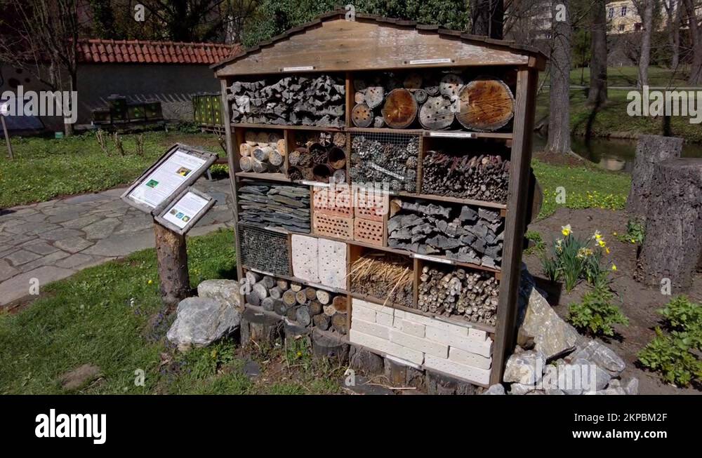 Insect habitat and shelter Stock Videos & Footage - HD and 4K Video ...