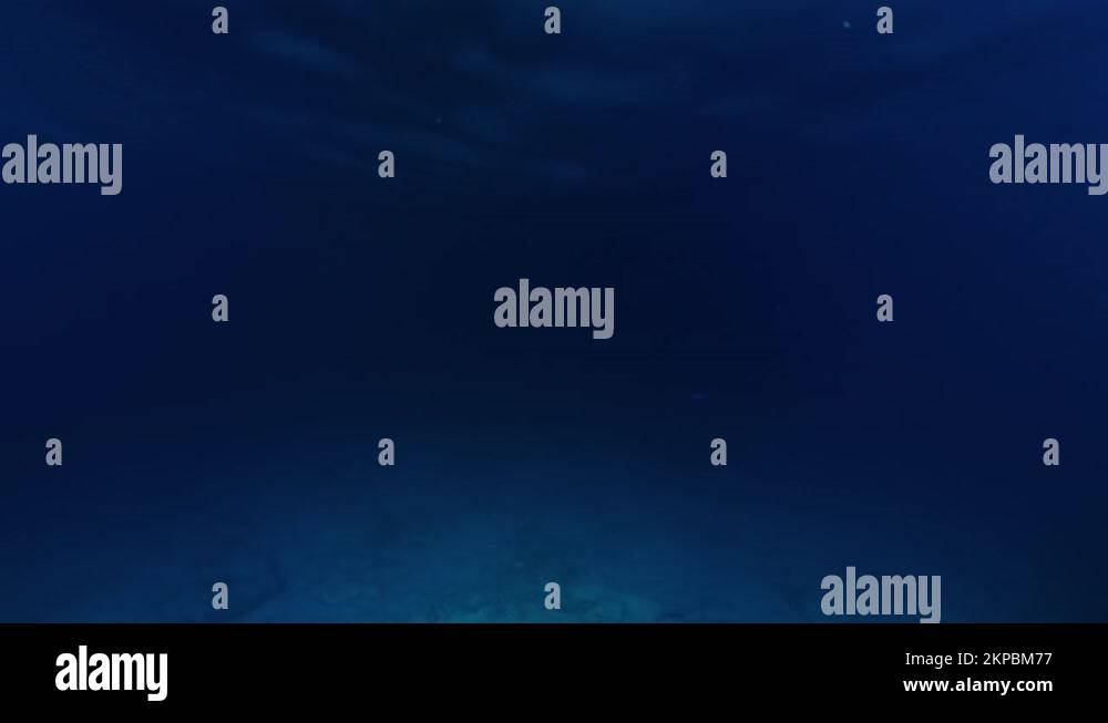 Night sea. Underwater view of the night sea and sandy bottom with wave ...