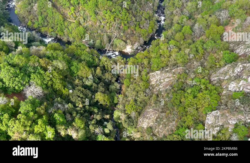 Aerial Birds Eye Flying Over Forest Ravine With River Deza Weaving ...