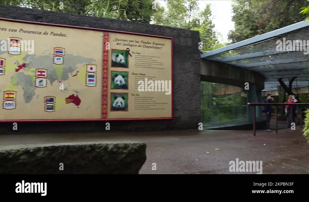 Principal Panda's Hall at Chapultepec Zoo Stock Video Footage - Alamy
