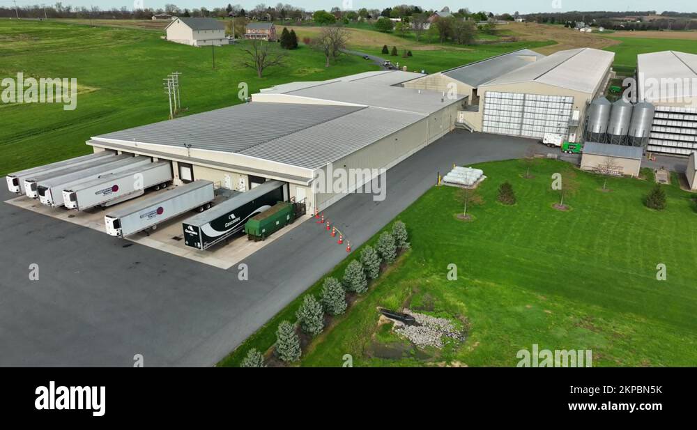 Commercial laying hen Stock Videos & Footage - HD and 4K Video Clips ...