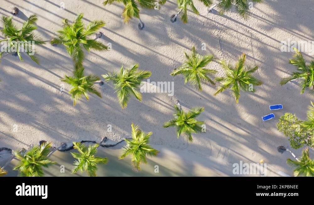 Playa Nueva Romana tropical beach, Dominican Republic. Aerial top-down ...