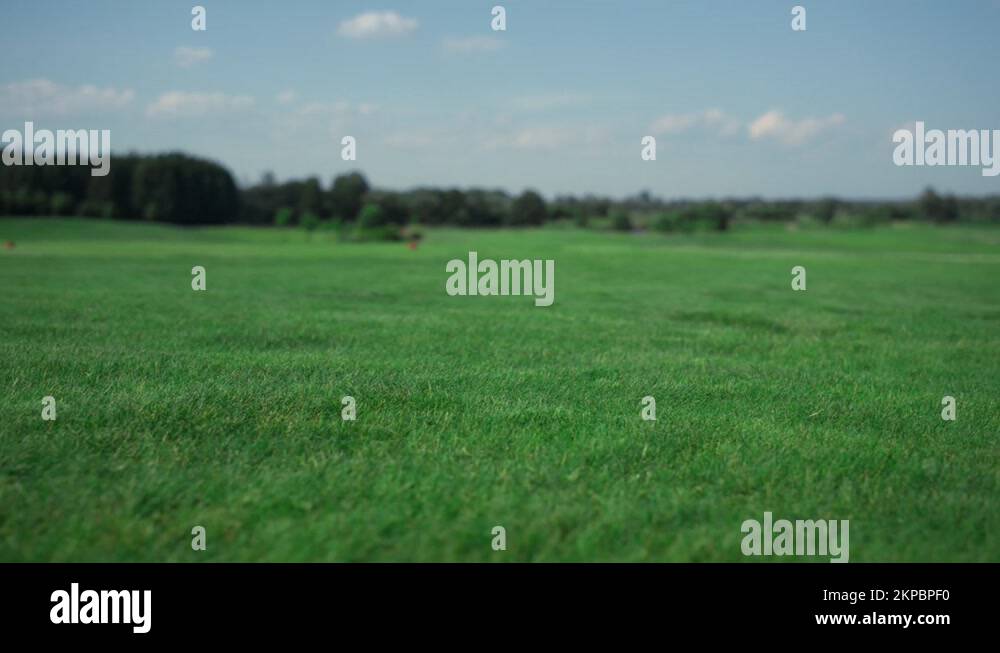 Grass fairway Stock Videos & Footage - HD and 4K Video Clips - Alamy