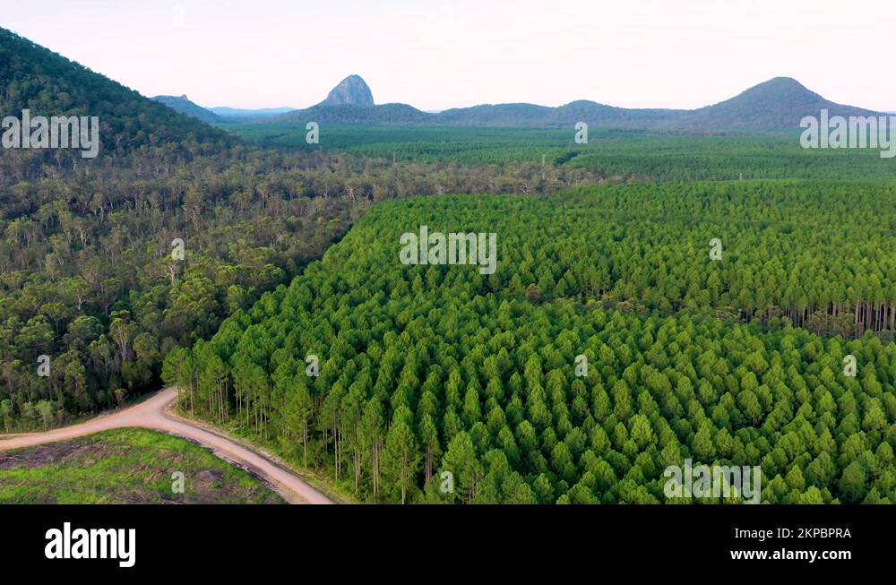 Queensland deforestation Stock Videos & Footage - HD and 4K Video Clips ...