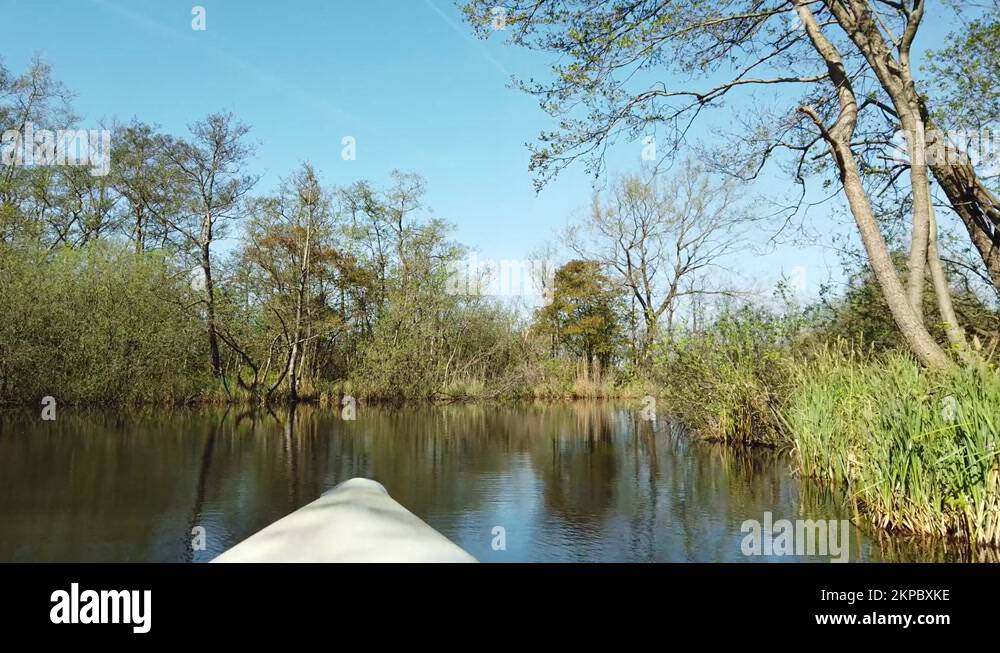 Nature reserve activity Stock Videos & Footage - HD and 4K Video Clips ...